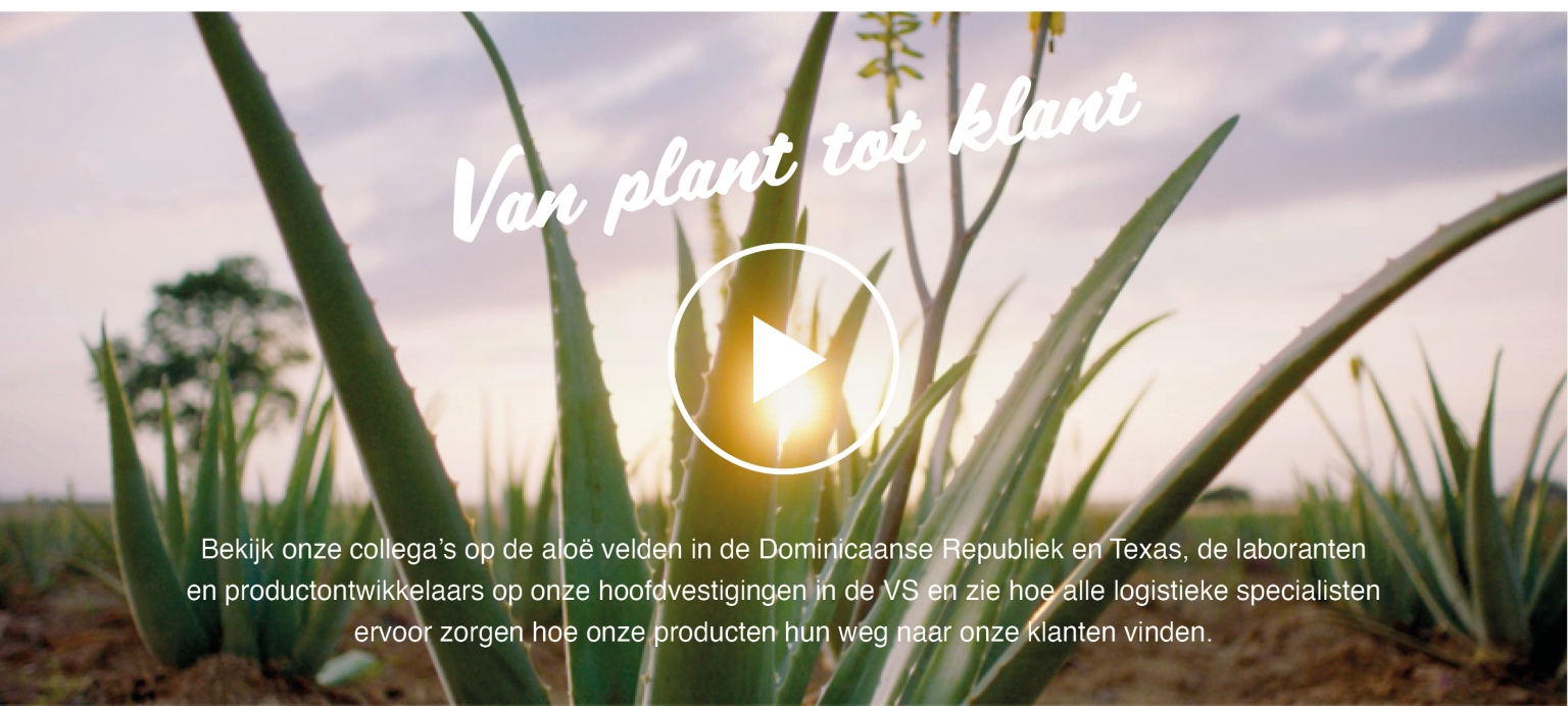 Forever Living – The Aloe Vera Company